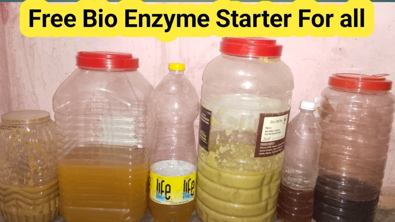 Free Bio Enzyme Starter / Make your bio enzyme in 45 days / Enzyme ...