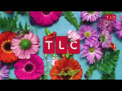 (Nette İlk) TLC (Çiçek Temalı) Logo Jeneriği 03.2022-?