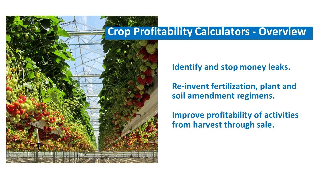 Crop Profitability Calculators Overview Video - YouTube