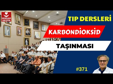 371. Karbondioksid Taşınması, Fizyoloji Dersleri,  Solunum Sistemi