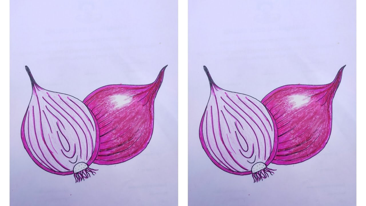 || Onion 🧅 Drawing || Lali Mili || Video no 26 || পেঁয়াজ || Colour ...