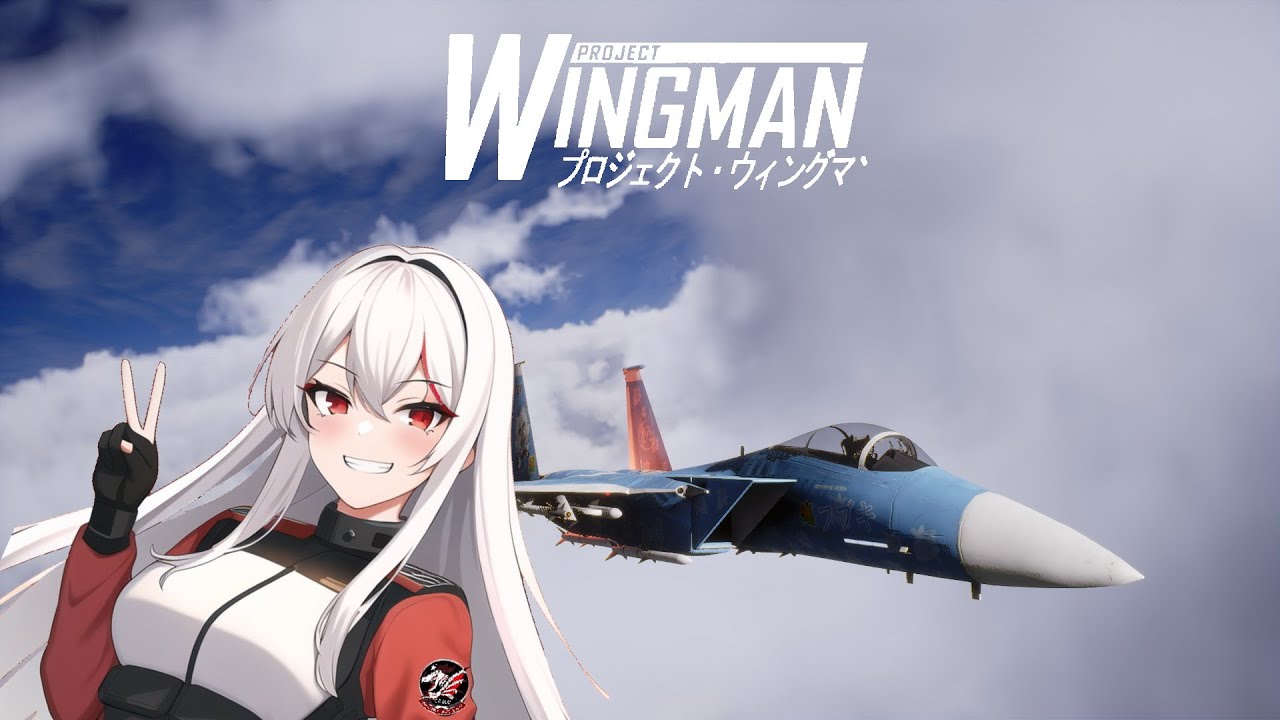 Project Wingman Mercenary Run Continued! - YouTube