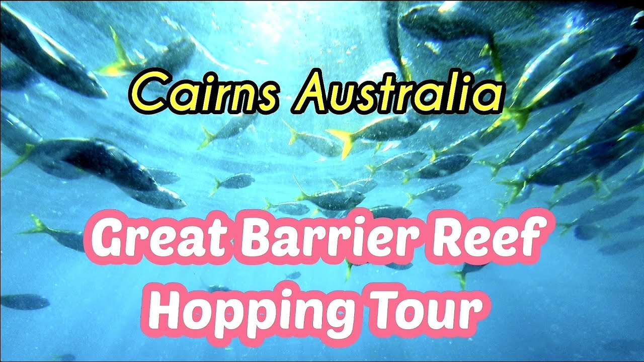 Great Barrier Reef Hopping Tour - YouTube