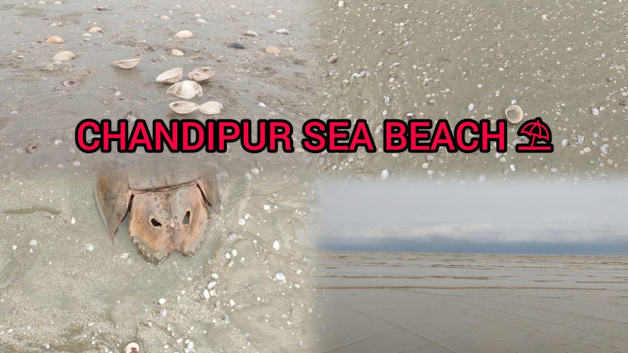 CHANDIPUR SEA BEACH ⛱️//BALASORE BEACH//ଚାନ୍ଦିପୁର୍ ସମୁଦ୍ରର ଦୃଶ୍ୟ#2024 # ...
