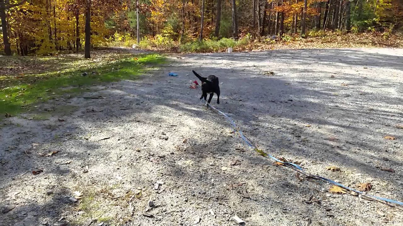 Ava, Riley and Sully - YouTube