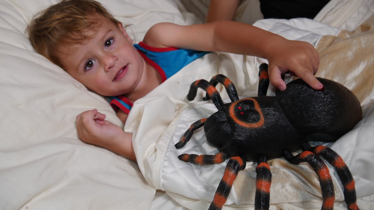 The Itsy Bitsy Spider Arabic - العنكبوت الصغير - YouTube