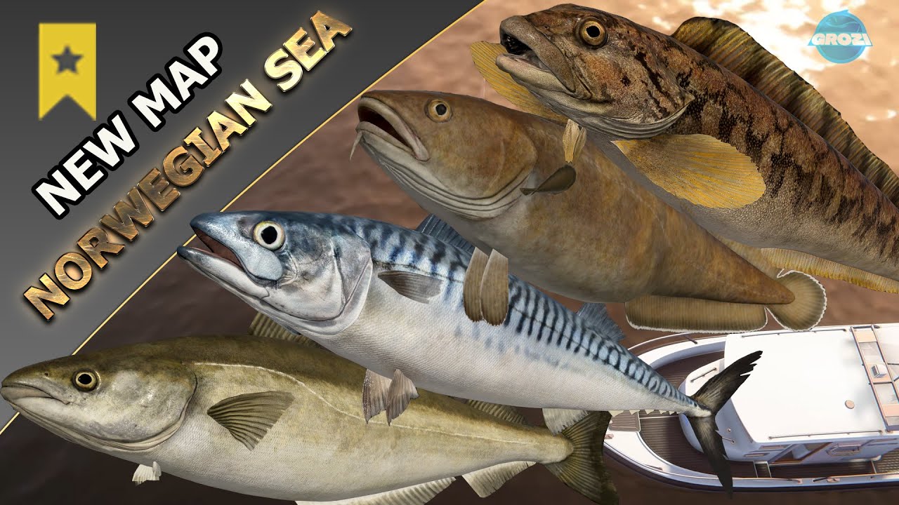 Fishing on the Norwegian Sea 🐬Trophy fish RF4 - YouTube