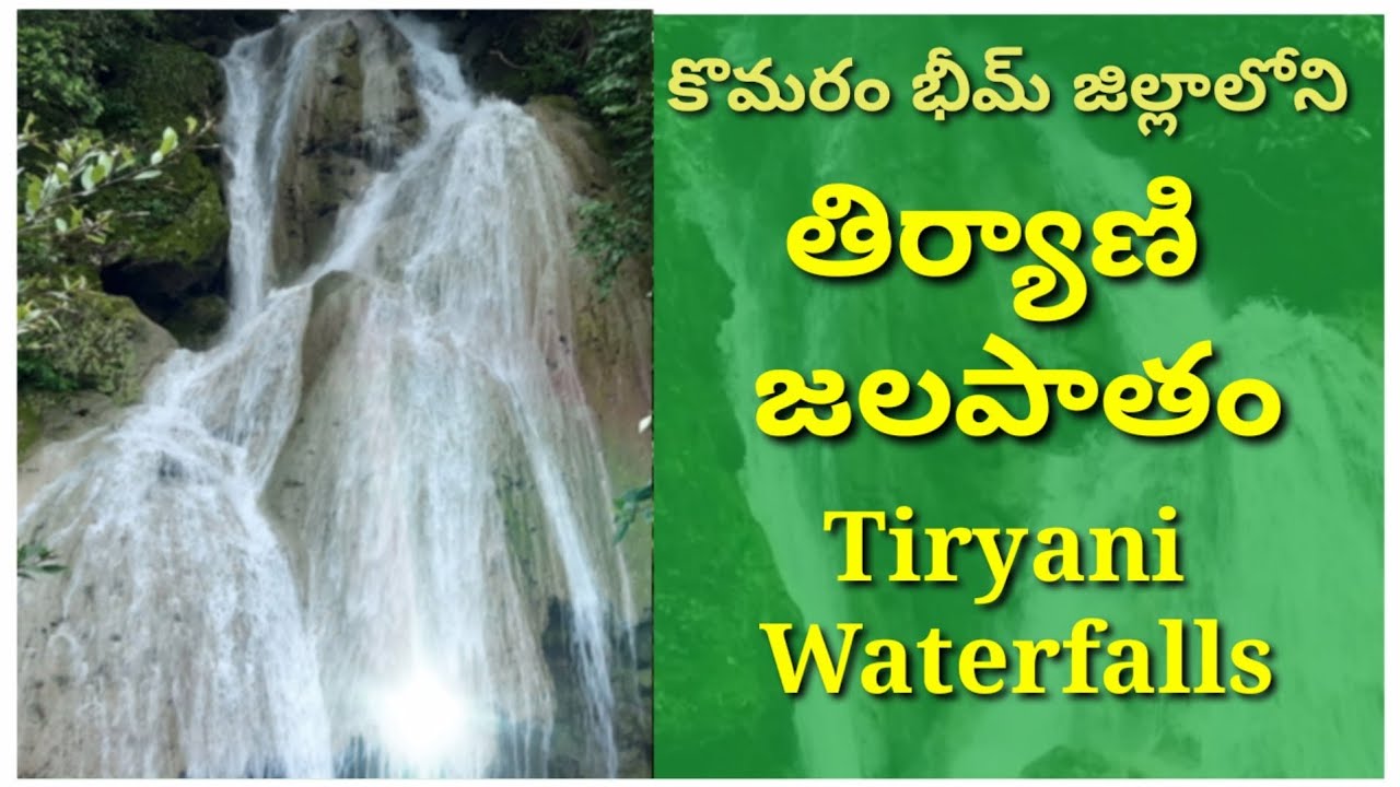 తిర్యాణి జలపాతం కొమరం భీమ్ జిల్లా |Tiryani waterfalls| - YouTube