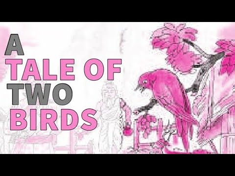 A Tale of Two Birds Class 6th English Supplementry Ncert Lesson 1 Full ...