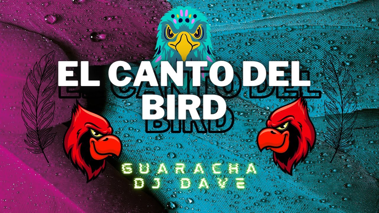 EL CANTO DEL BIRD (Mixed) - DJ DAVE: Song Lyrics, Music Videos & Concerts