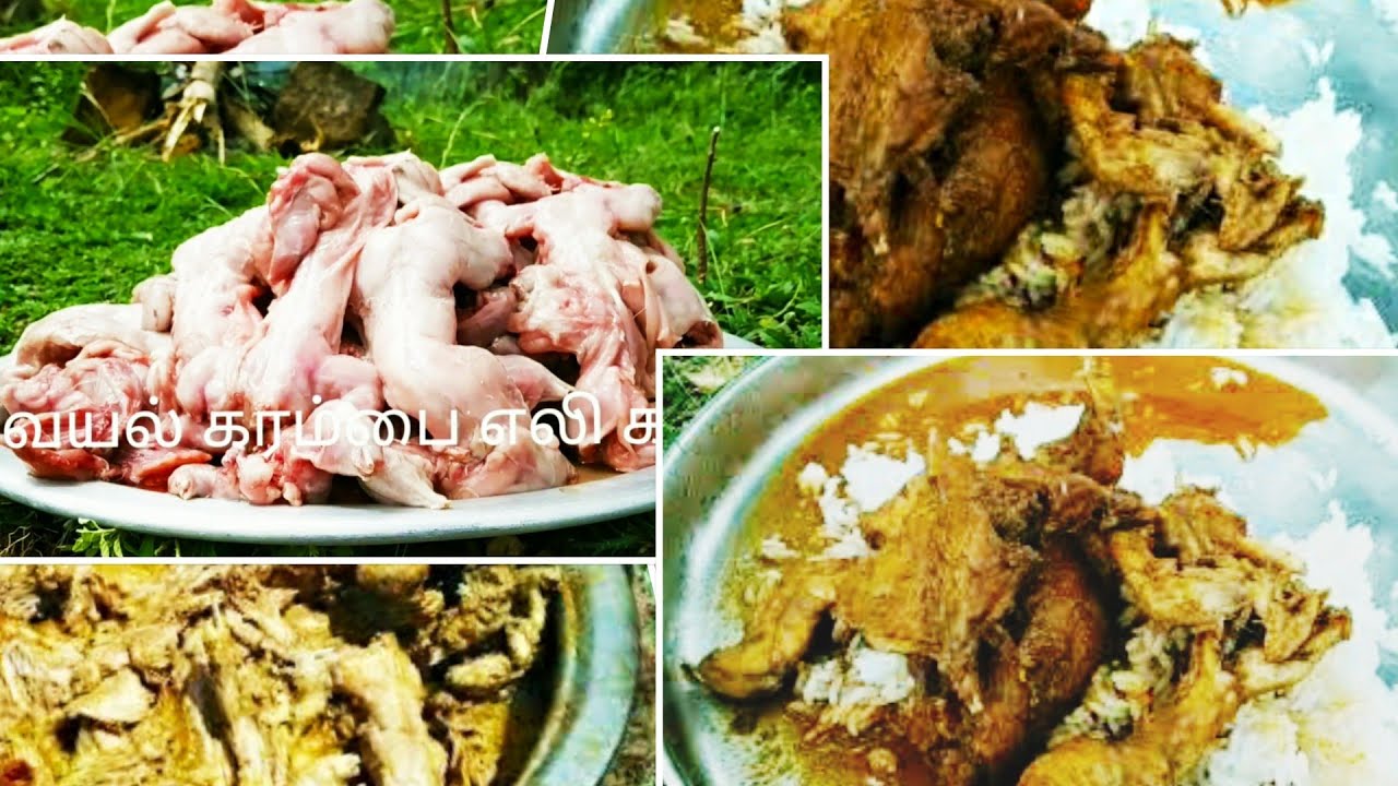 எலி கறி வறுவல் | SPICY RAT GRAVY | RAT COOKING IN TAMIL | RAT COOKING ...