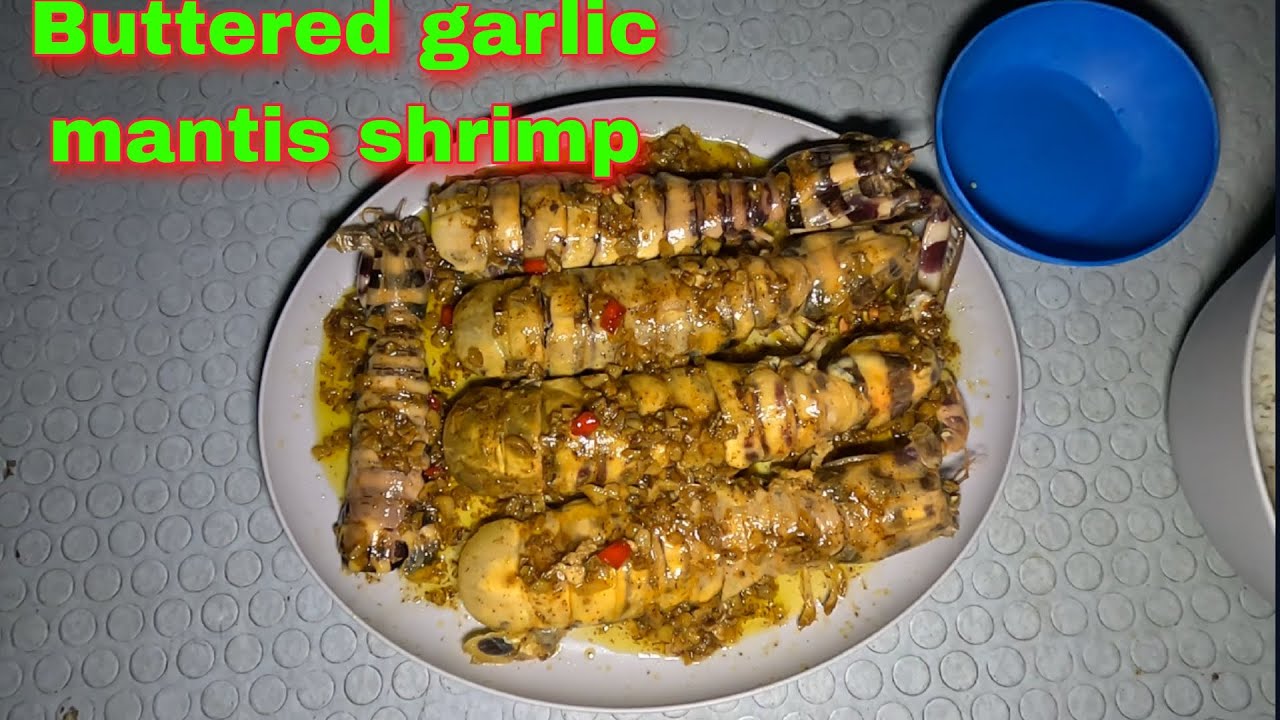 vlog 387- Giant Sea Mantis Shrimp catch & cook Part 2 - YouTube