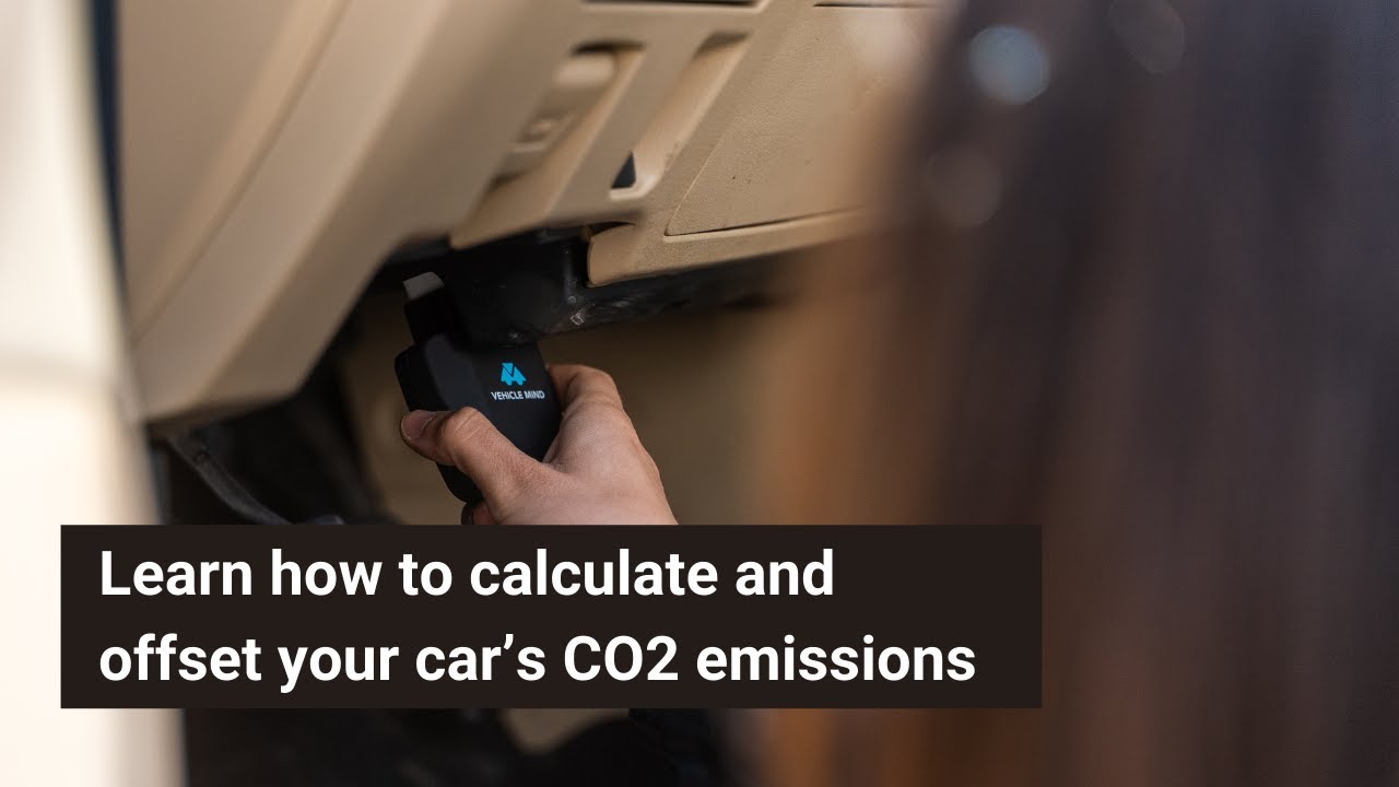 Here’s how to track your car's CO2 emissions (and offset them ...