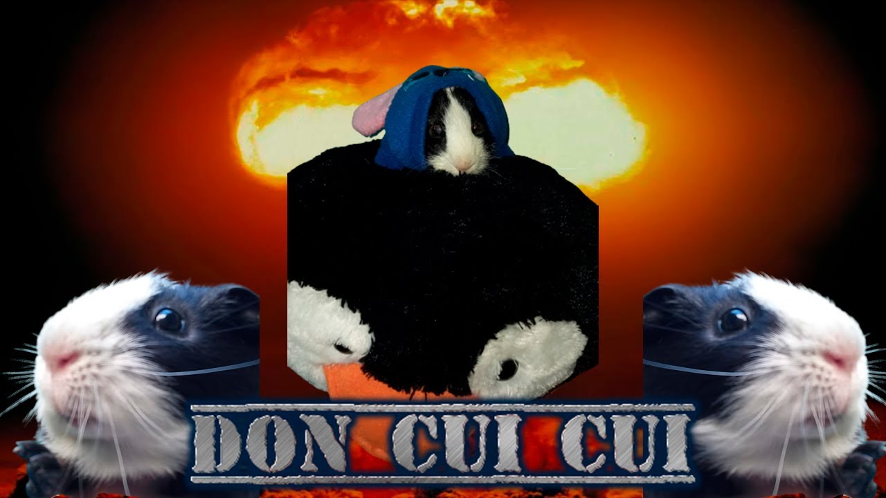 Trailer de Don Cui Cui - YouTube