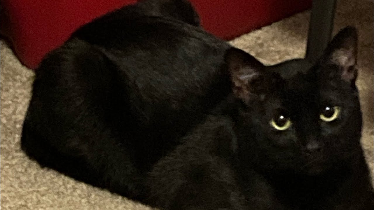 Tidal Wave with Hitboxes... - YouTube