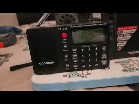 Qodosen DX-286 vs Tecsun PL990 - YouTube