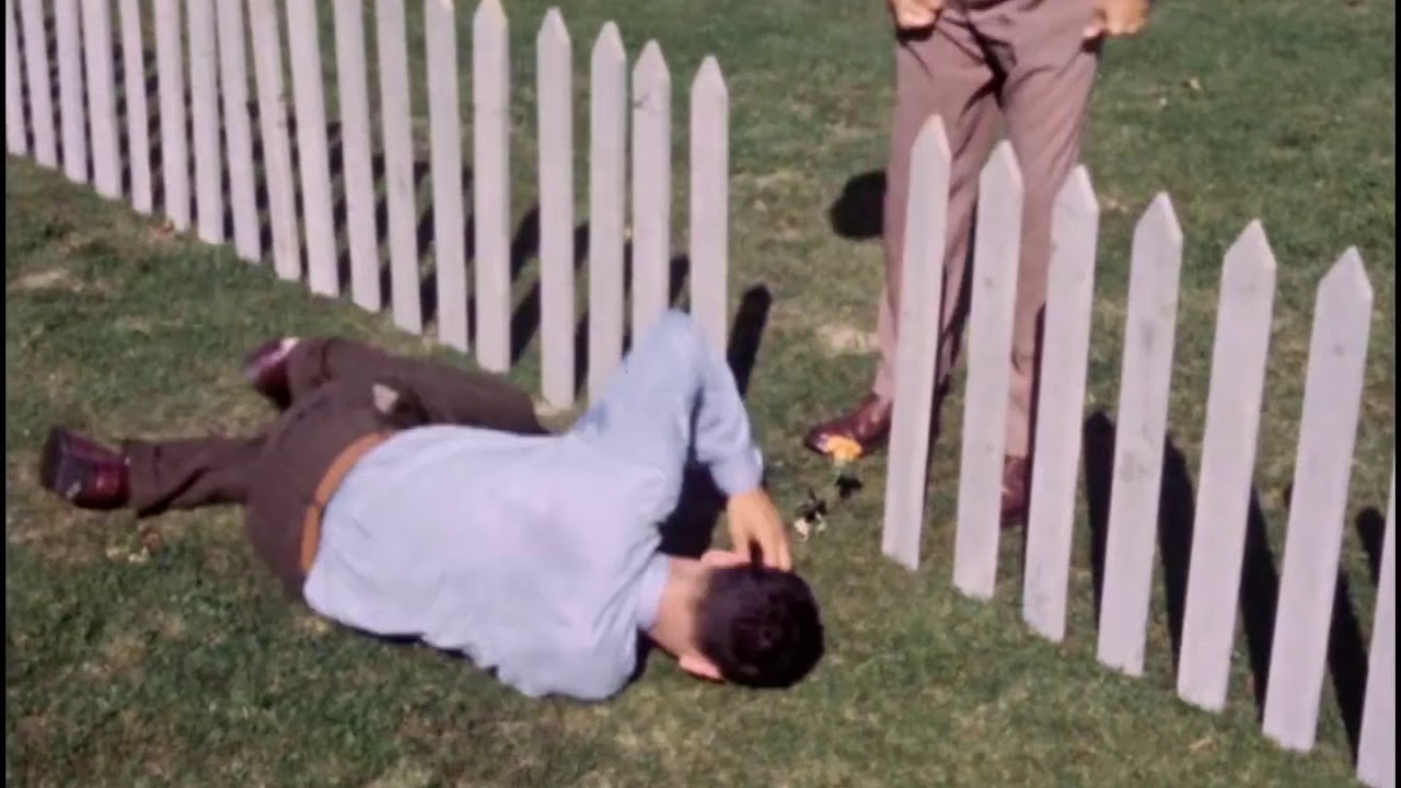 Norman McLaren's "Neighbours" - An Andrew Haughton ReScore - YouTube