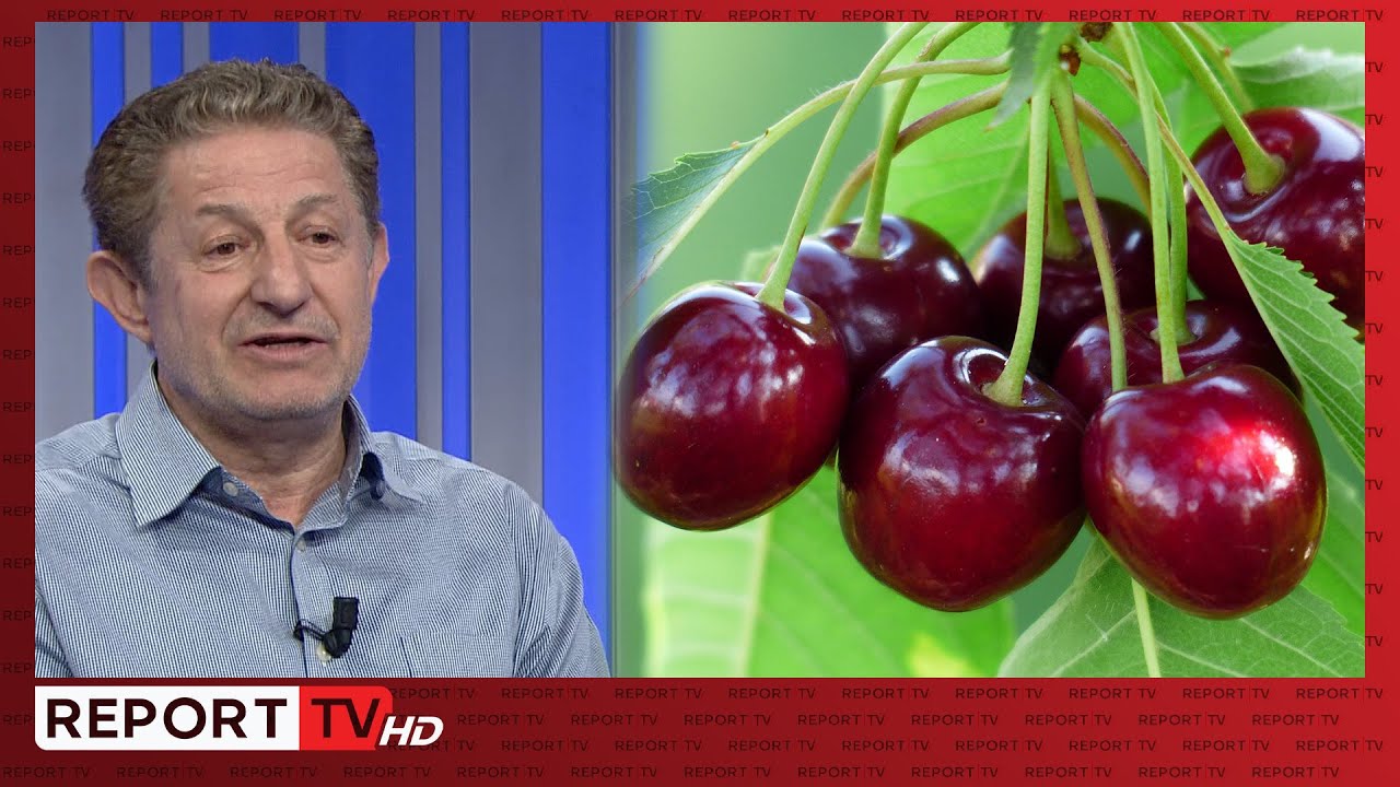 40 euro një kg qershi! Agronomi: E papranueshme që popullata të ...