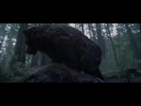 Bear Attack Ayı Saldırısı Diriliş Bärenangriff