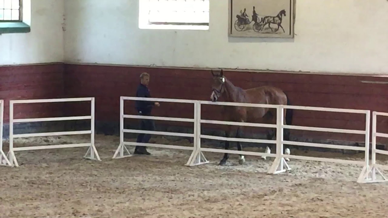 Lamaze TN volnost - YouTube