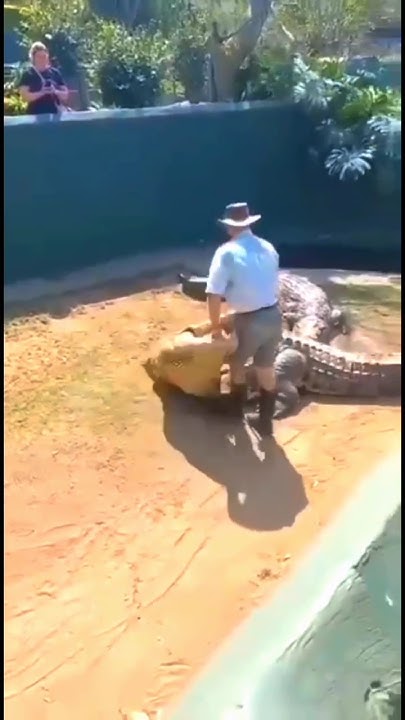 "Crocodile Attack Caught on Camera | Shocking Survival Story #Shorts ...