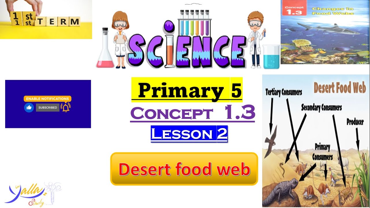 Science chapter 3 concept 3 lesson 2 theme 1 primary 5 first term - YouTube