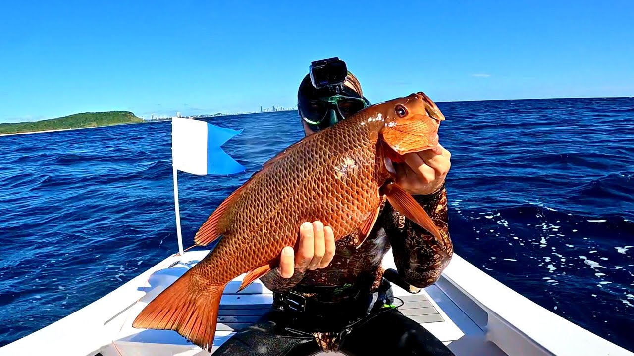 Finally some fresh fish! 3.2kg Mangrove Jack | Catch Fillet Cook ...