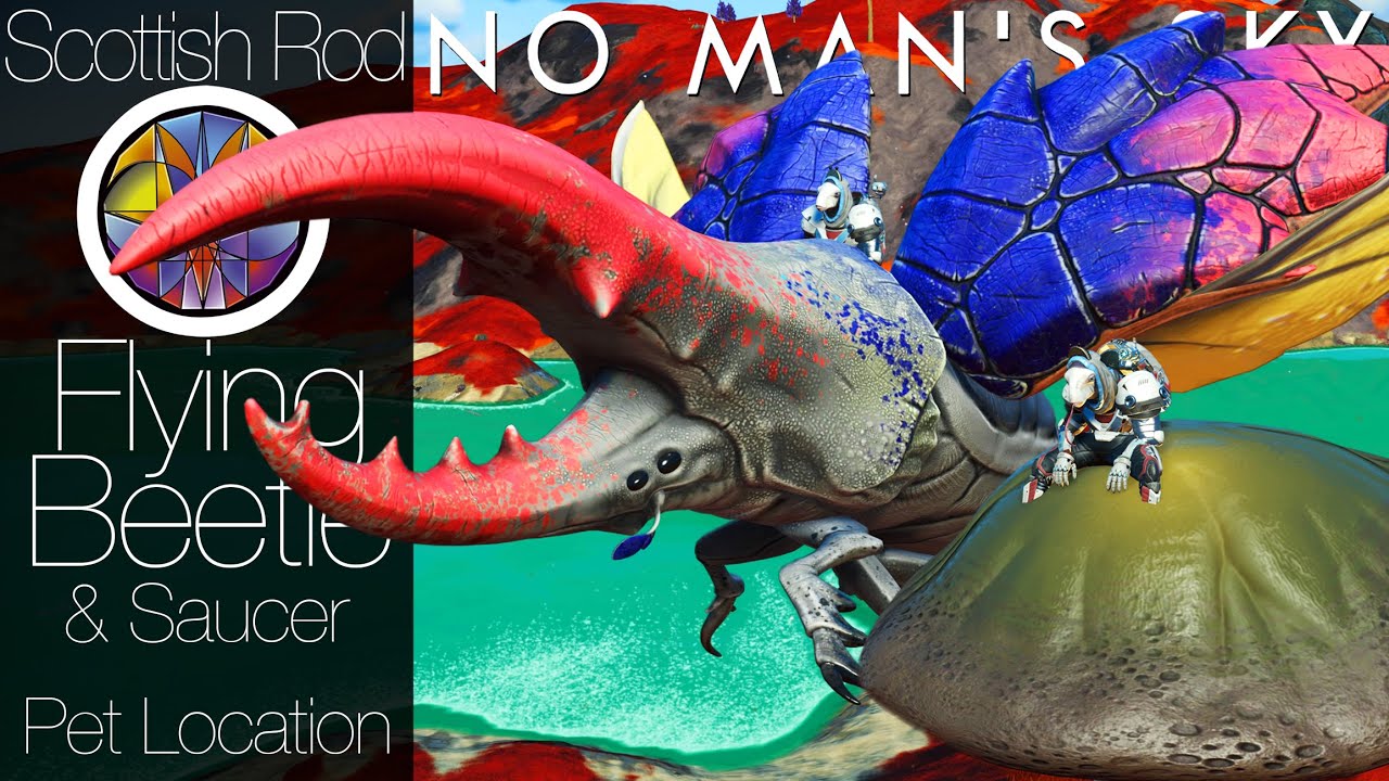 No Man's Sky - Flying Pet - Beetle & Saucer - Prisms Update 3.5 - Pet ...