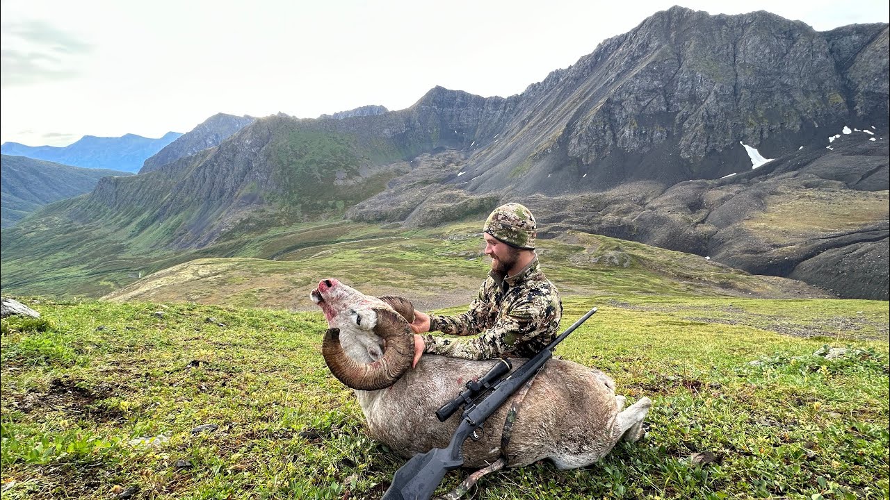 Alaska Dall Sheep Hunt 2023 - YouTube