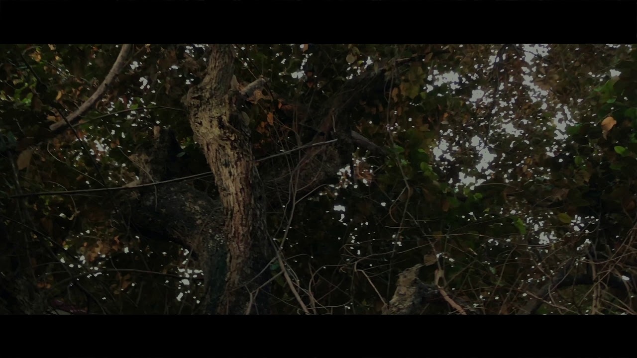 Maria (horror + mystery) teaser by Eldride - YouTube