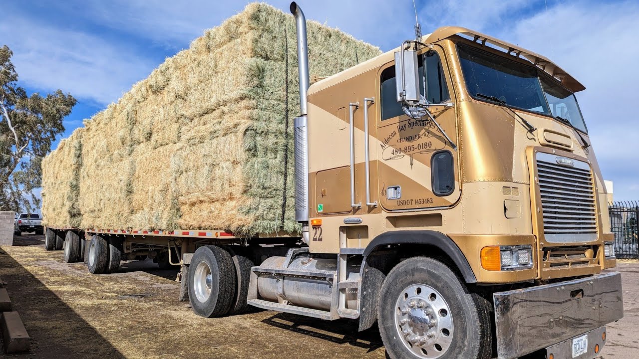1987 Freightliner FLB Hay Hauler -- Aldecoa Hay Specialties Inc. - YouTube