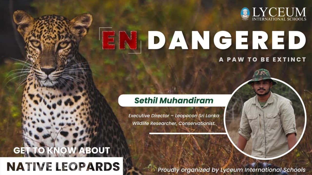 Highlight of A Paw to be Extinct | Endangered | Season 01 : EP 01 - YouTube