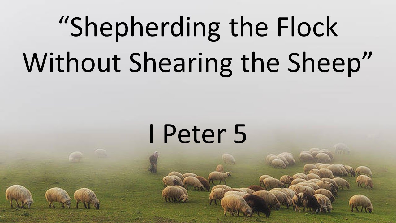 Shepherding the Flock Without Shearing the Sheep | 9.19.21 | GCC Live ...