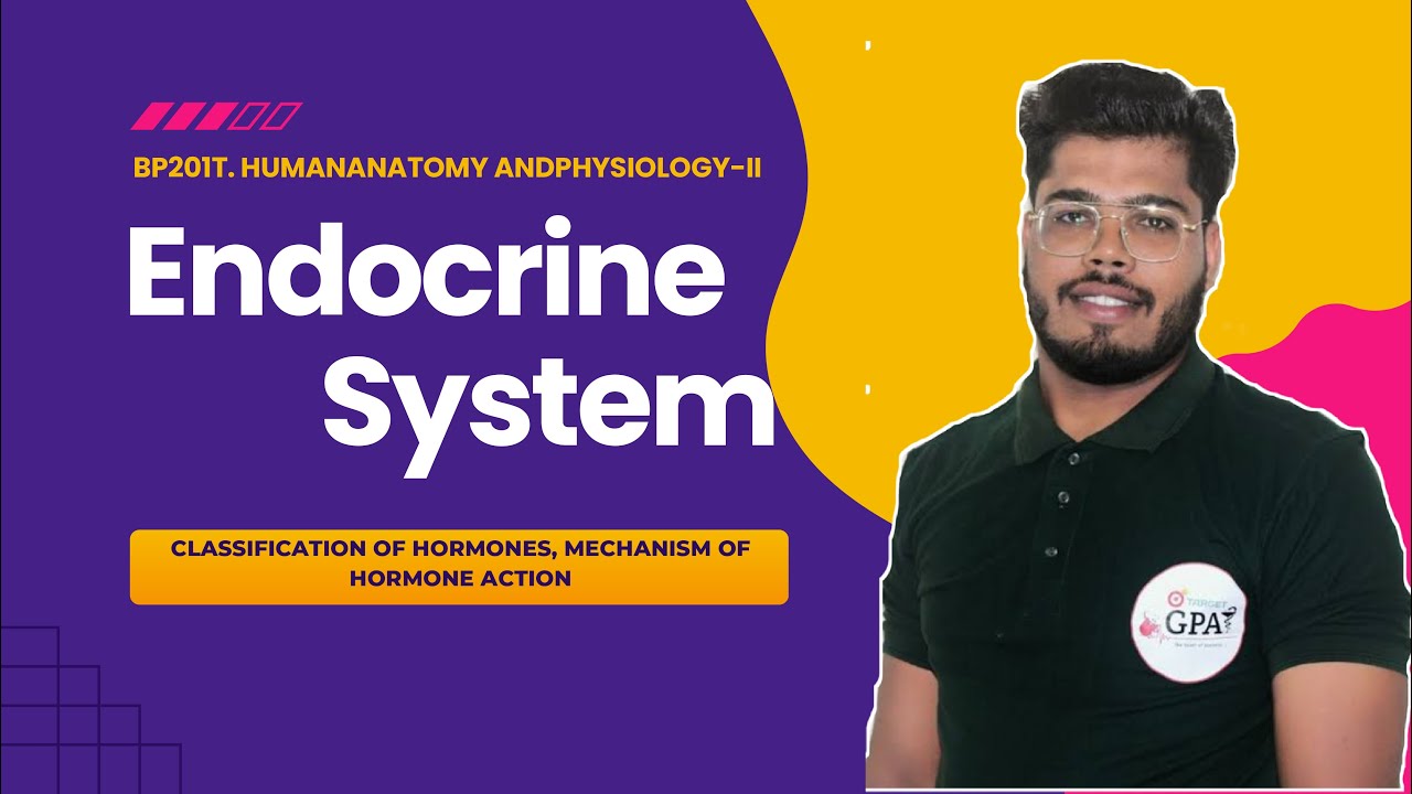 ENDOCRINE SYSTEM : Endocrine system Classification of hormones ...