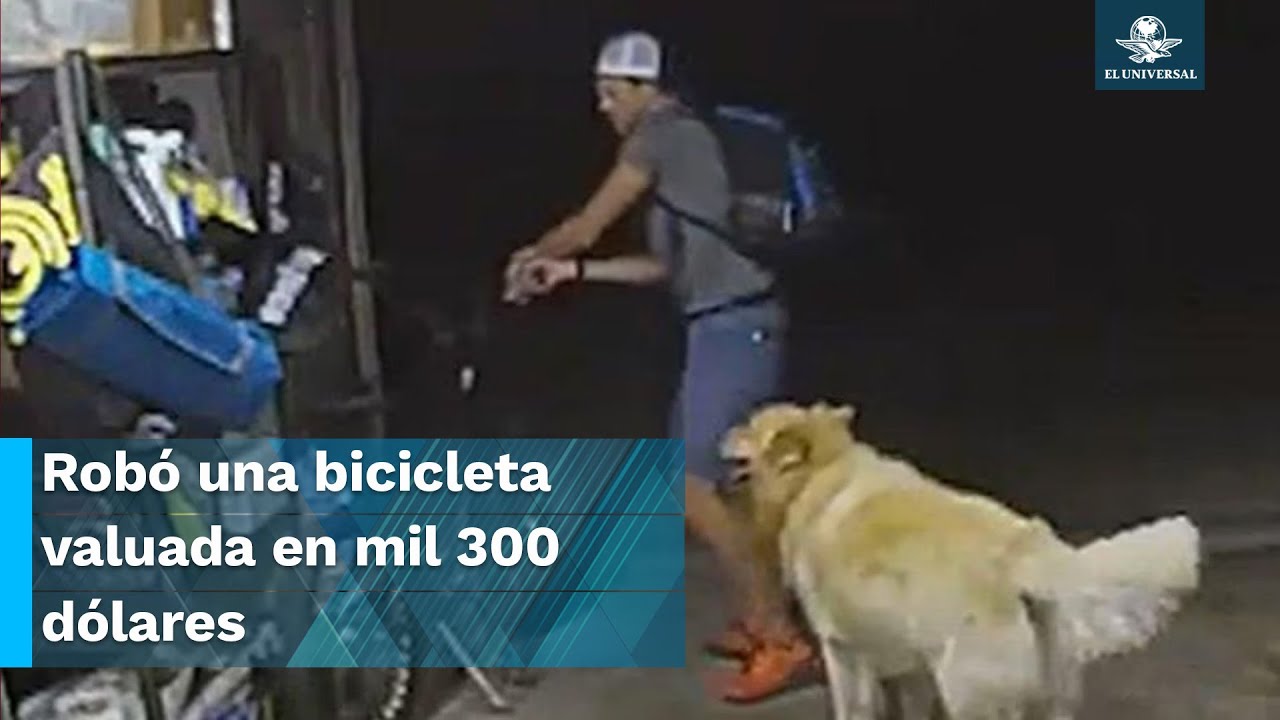 Ladrón entra a robar y se detiene a saludar al perro de la casa - YouTube