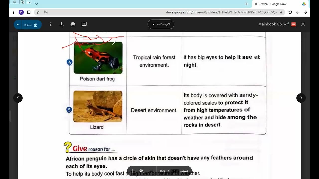 Grade6-Unit4-Concept1-Lesson2-Part1 - YouTube