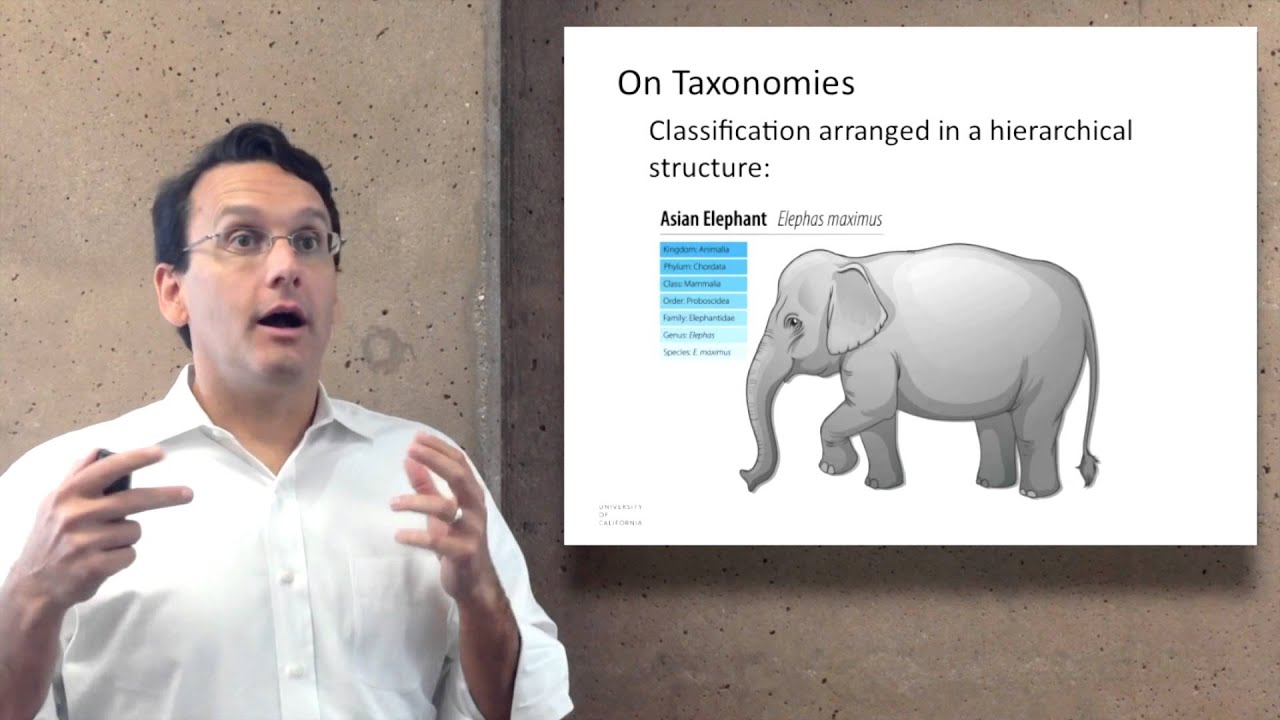 Introduction to Scientific Thinking - YouTube