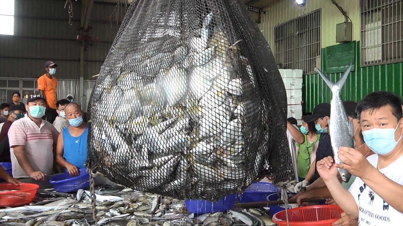 Buying fish from a fixed fish farm in Taiwan台灣定置漁場 - YouTube