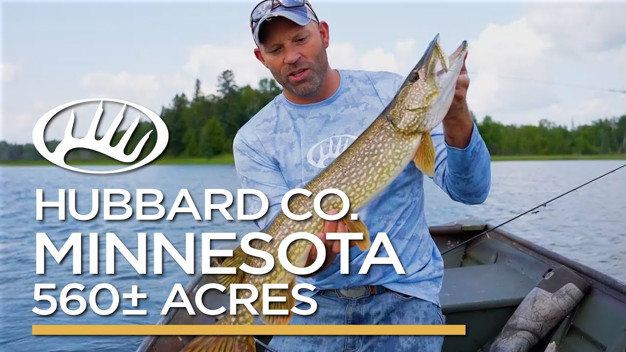 Hubbard County, MN 560± Acres - YouTube