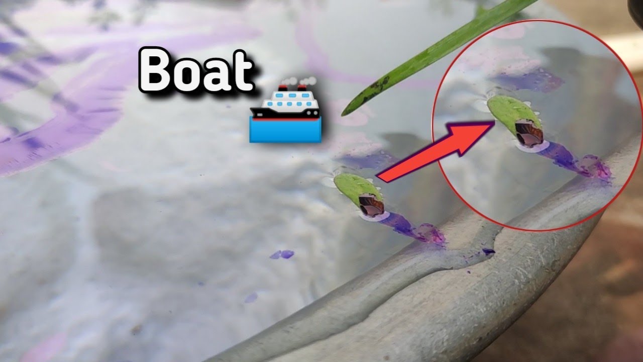 We Have Built The World's Smallest Leaf Boat | Leaf Boat (पता के जहाज ...