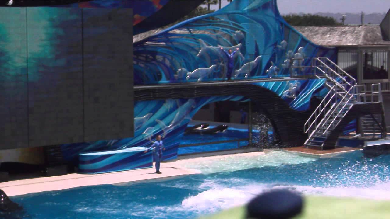Shamu jumps in SeaWorld - YouTube