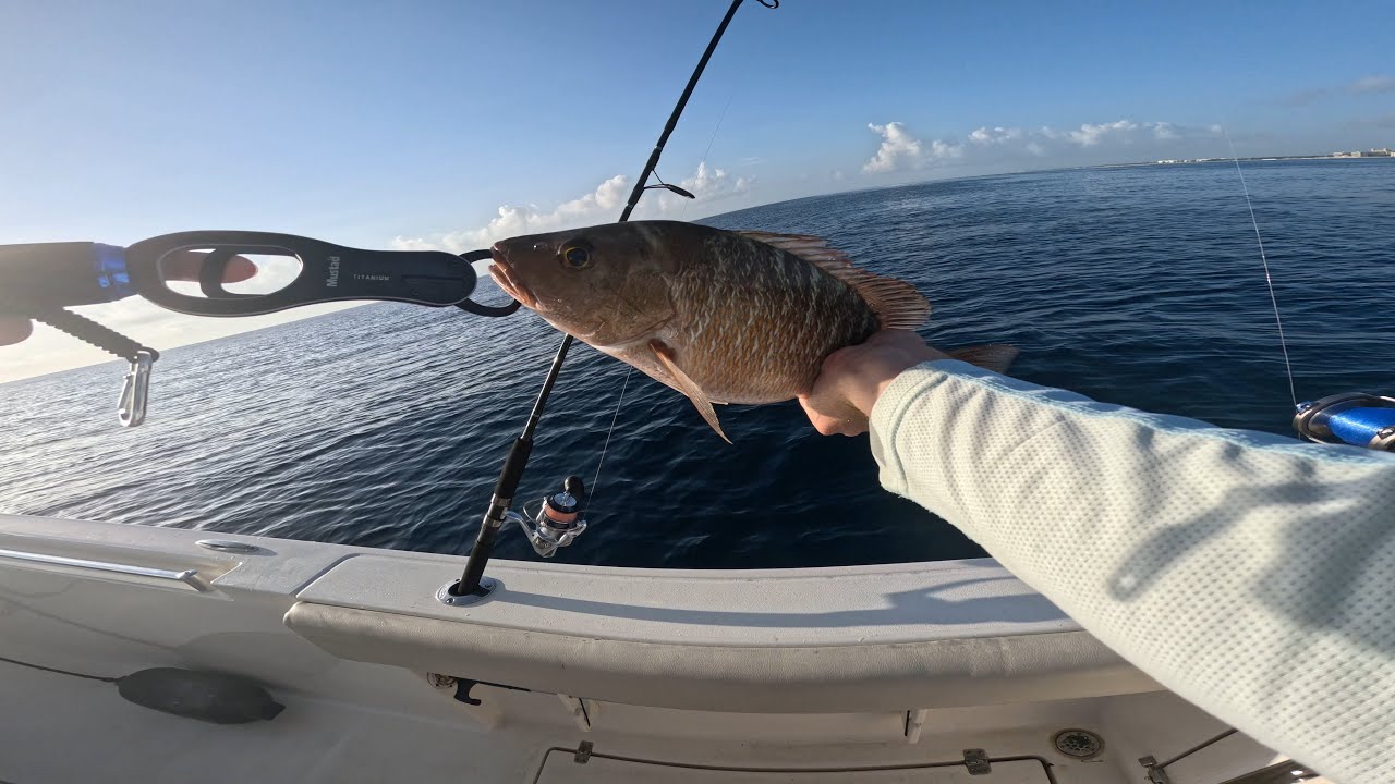 Dad jokes Mid-Catch! Drift fishing West Palm Beach 8/8/23 - YouTube