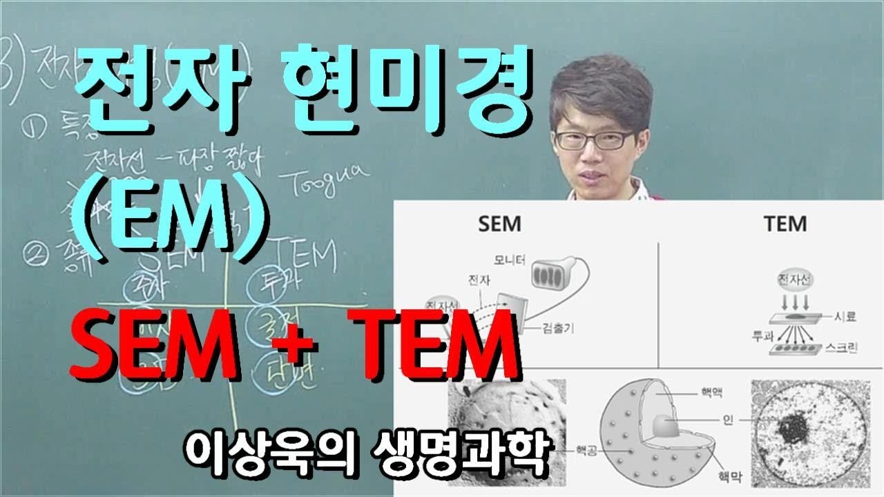 세포 연구방법- 2. 전자 현미경(EM) _ SEM & TEM - YouTube