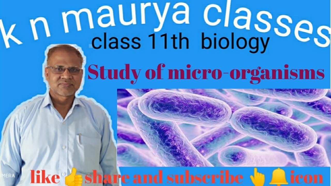 Study of micro-organisms Class 11 - YouTube