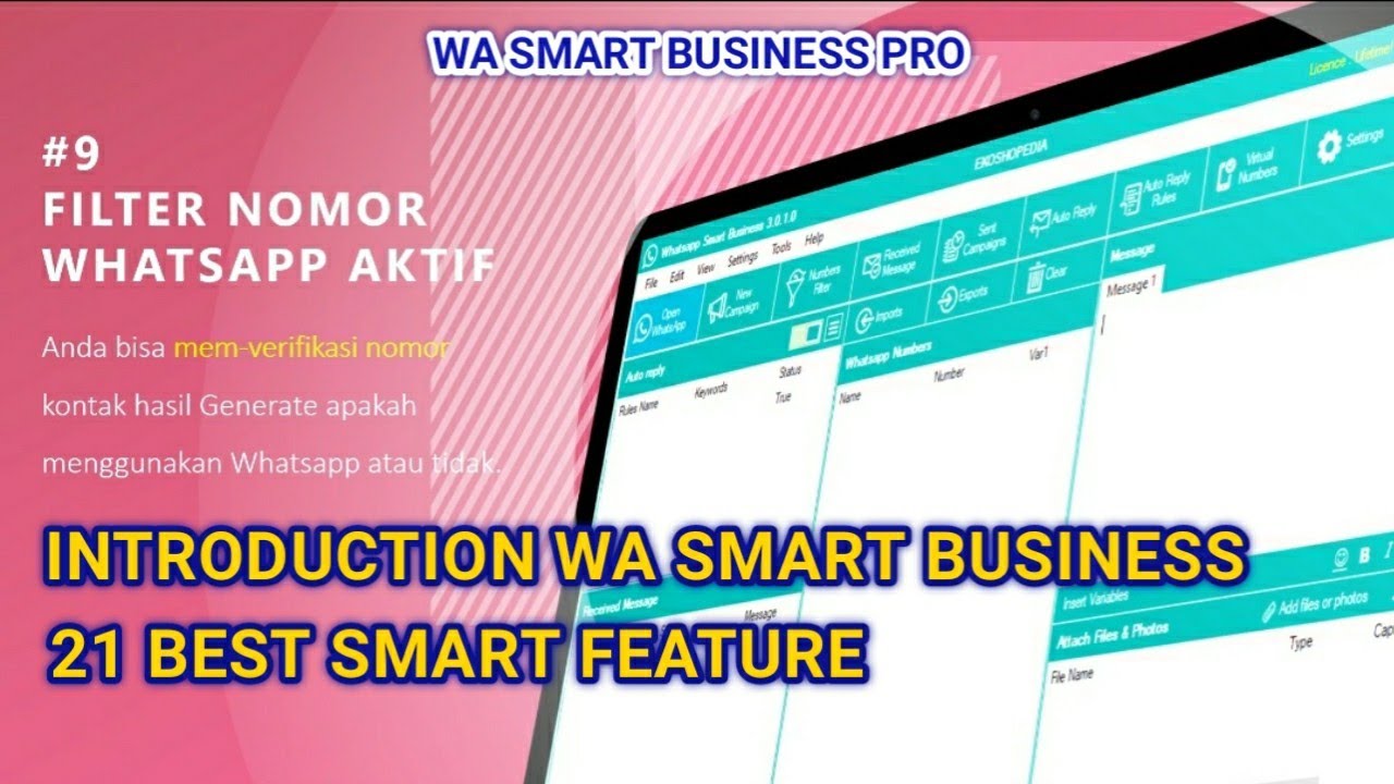 Introduction Business WA Sender + 21 Best Smart Feature - YouTube
