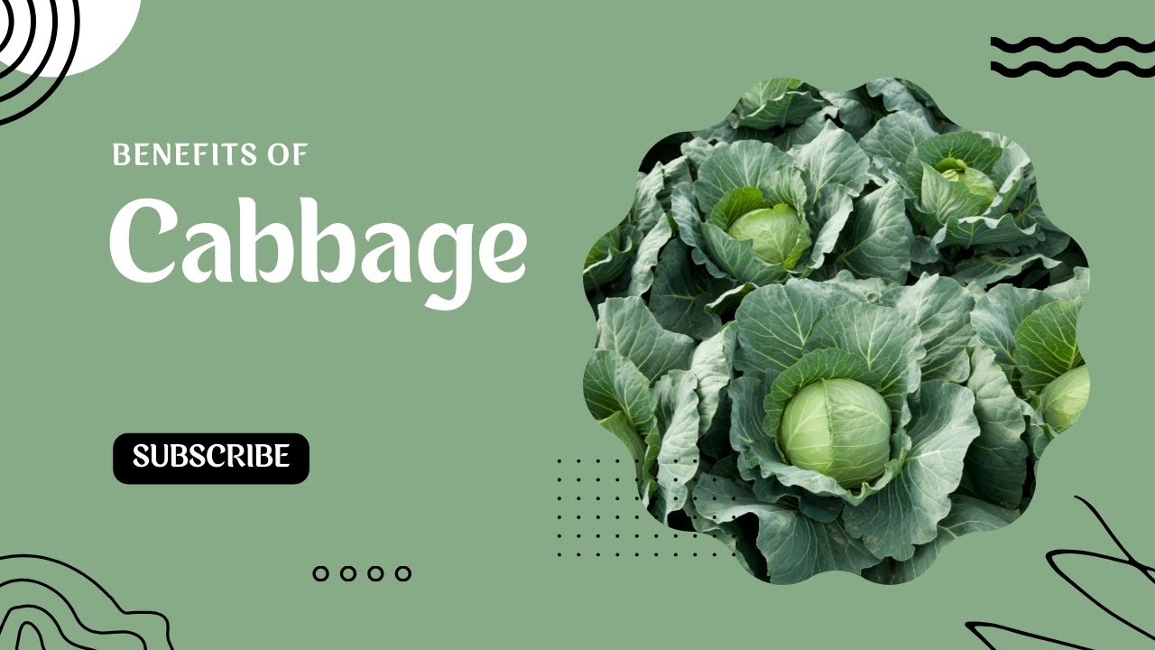 Cabbage Chronicles: Unveiling the Incredible Powers of the Mighty ...