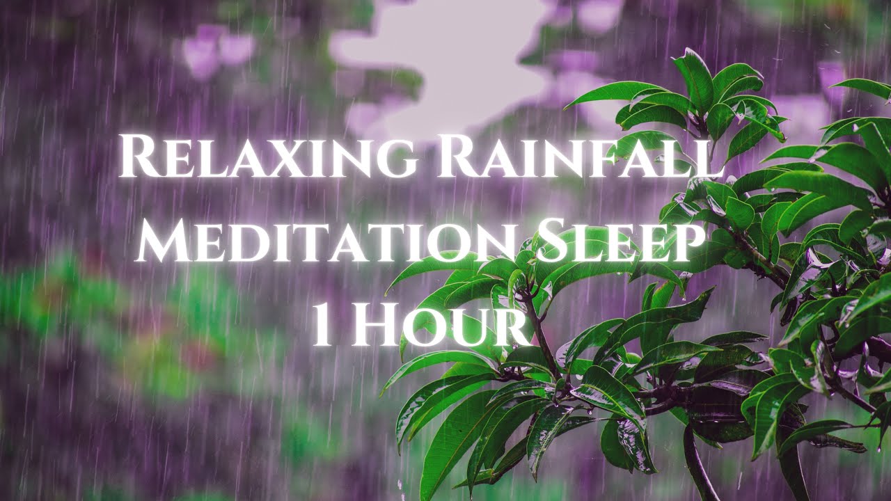 Relaxing Sleep Rainfall Sounds Video 1 hour - YouTube