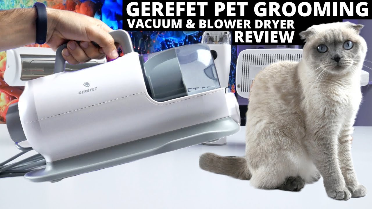 Cat Grooming At Home