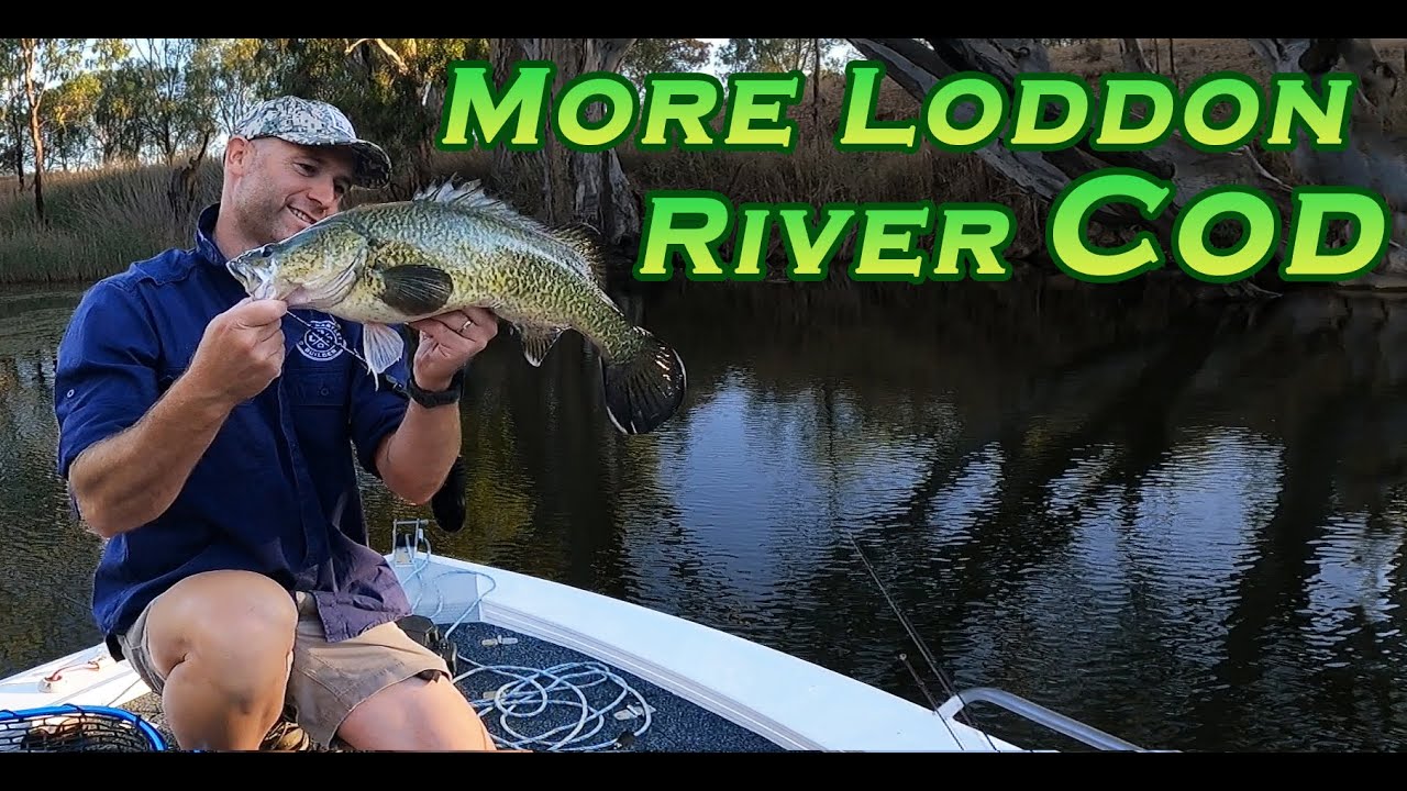 Murray Cod fishing the Loddon River with my brother - YouTube