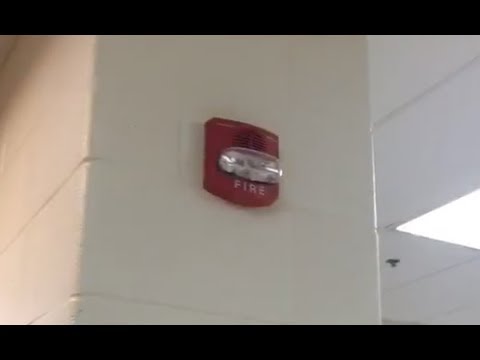 Fire Alarm Short: False Alarm at my Old High School - YouTube